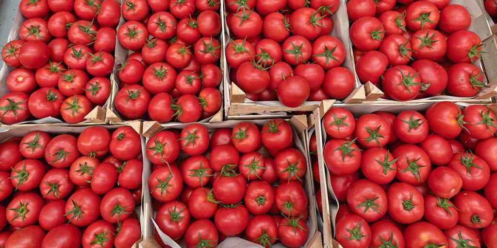 perishable-food-transport - ET Transport